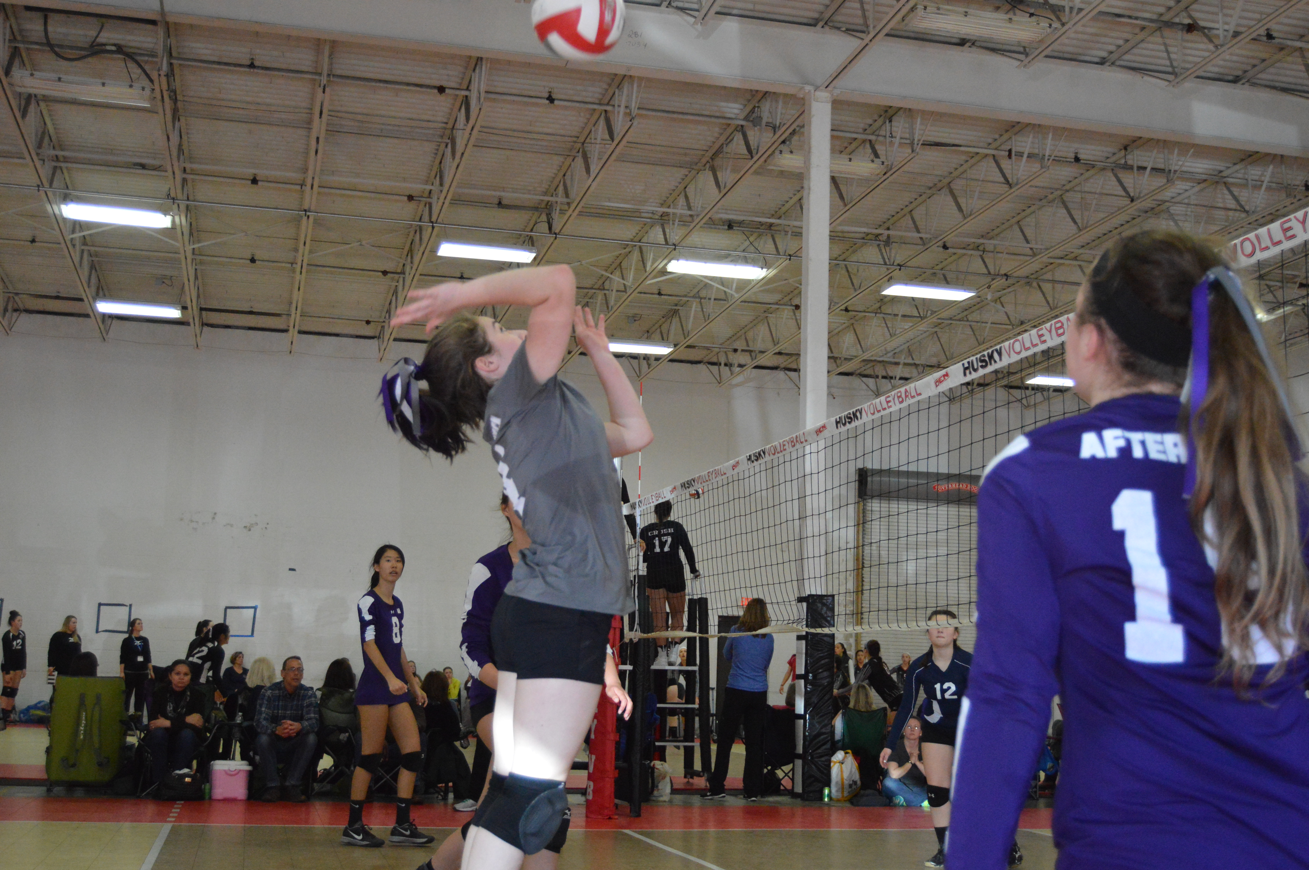 Aftershock HP 2017 | AVA Volleyball Club